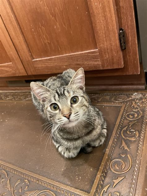 Practicing Her Curled Feetsies R Curledfeetsies