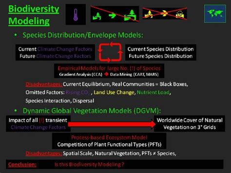 Modeling Diversity Of Vascular Plants