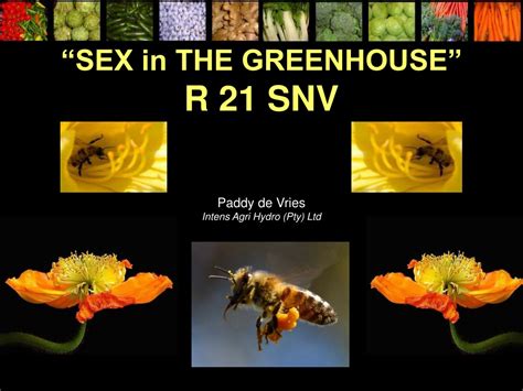 PPT Protecting Plants From Pests Diseases Strategies For Prophylaxis In Greenhouses