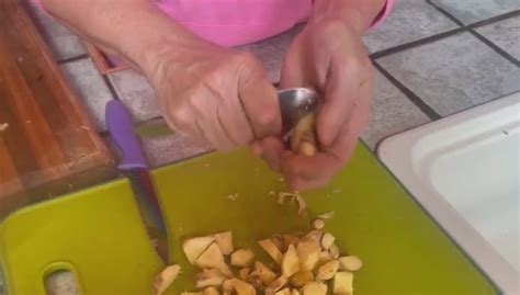 Yooper Goddess Homemade Immunity Boosting Ginger Shots