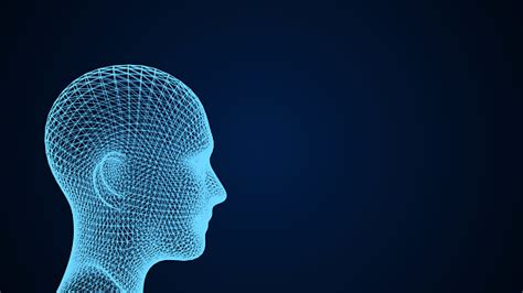 인간의 뇌는 입자에 의해 형성된다 3d 렌더링을 중심으로 진화하는 플렉서스 구조 3d 스캔에 대한 스톡 사진 및 기타 이미지 3d 스캔 3차원 형태 감각 지각