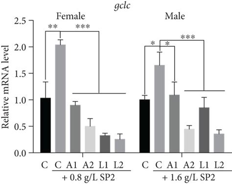 Sp2 Mediated Stress Resistant Effect In Fruit Flies Is Dependent On The