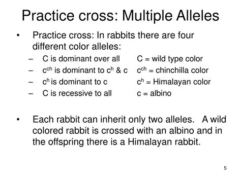 ppt patterns of intermediate inheritance exceptions to mendelâ€™s principles powerpoint