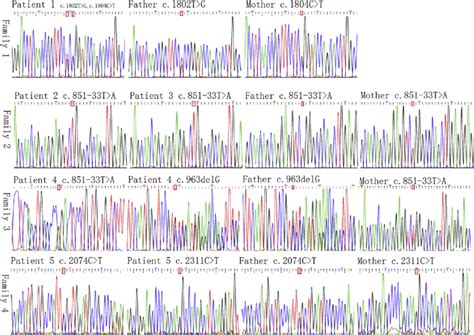 Sequencing Chromatographs Of The Six Variants In Five Patients And