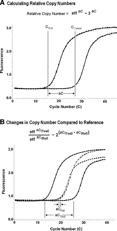 Relative Quantification By Real Time Polymerase Chain Reaction Pcr Download Scientific