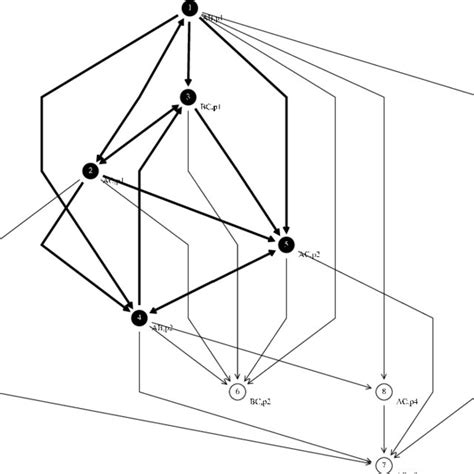 Graphical Representation Of The Dominance Relation Download