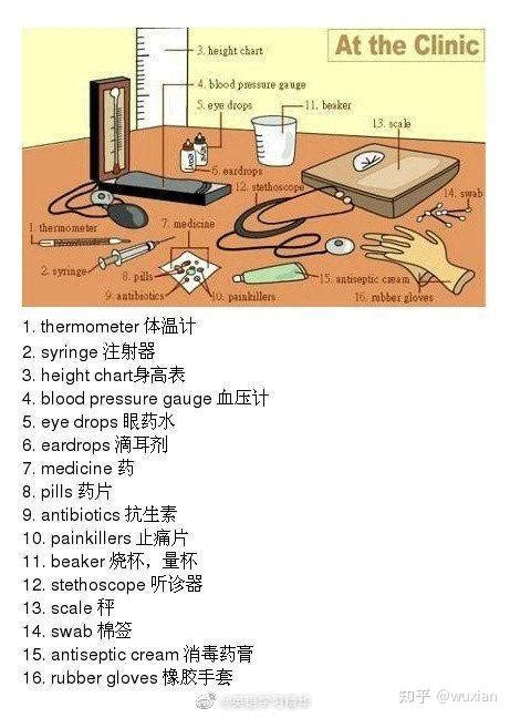 超全的英文词汇图解 知乎