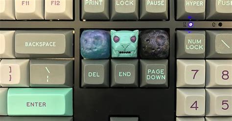 Hypercat Album On Imgur