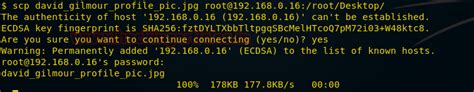 Hack The Thewall Vm Ctf Challenge Hacking Articles