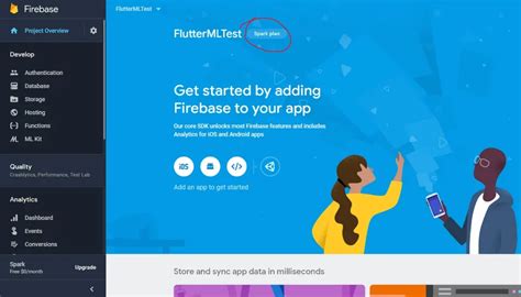 Build Custom Image Classification Models For Mobile With Flutter ML Kit And AutoML Fritz Ai