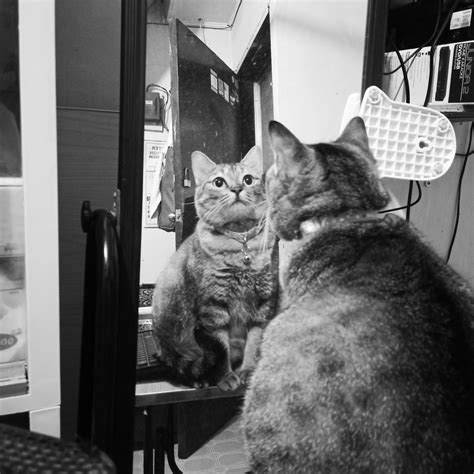 My Life Existential Crisis Menggay Rcatsofrph