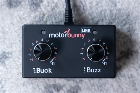 Motorbunny Buck Review The Most Fun You Can Have While Sitting Down