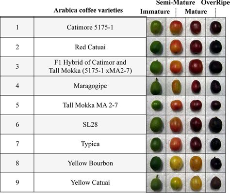 Figure 1 From High Throughput Metabolic Profiling Of Diverse Green