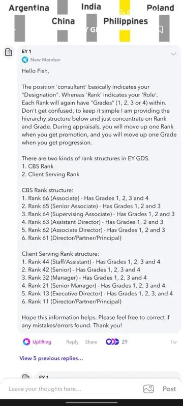 Can Someone Explain Hierarchy In Ey What Is Level 64 And What Is