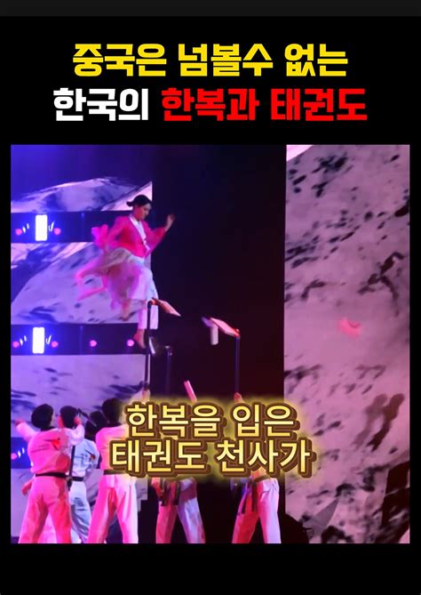 하늘을 나는 한국의 태권도 근데 이제 한복을 곁들인 다음 루프