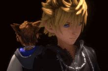 Kingdom Hearts S Tenor