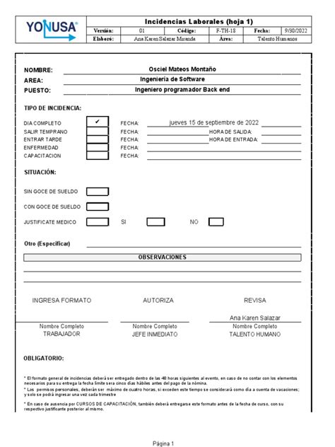 Formato De Reporte De Incidencias Laborales Pdf Informática