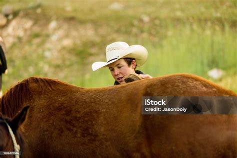카우보이 목장 말 이른 아침 빛 솔 질 20 24세에 대한 스톡 사진 및 기타 이미지 20 24세 개척시대의 서부 거친 Istock