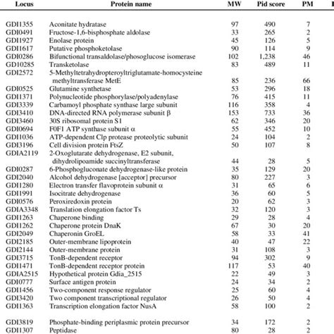Proteins Differentially Expressed By Gluconacetobacter Diazotrophicus Download Table