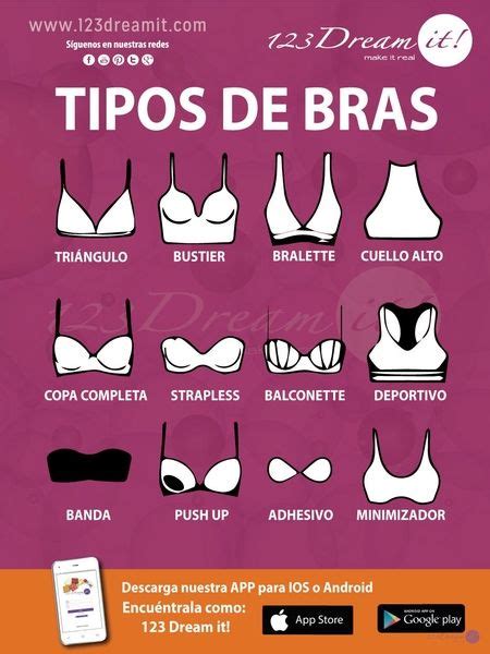 Venta Cual Es La Copa De Un Brasier En Stock