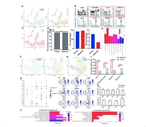 The Time Of Oscc At The Site Of Lymph Node Metastasis Is Enriched