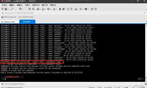 服务攻防 协议漏洞 Ftpandrdpandsshandrsyncandproftpdandlibsshandopenssh Hydra工具使用and口令猜解and未授权访问