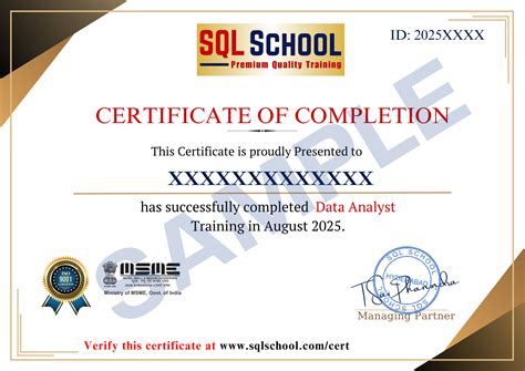 data analyst sql school