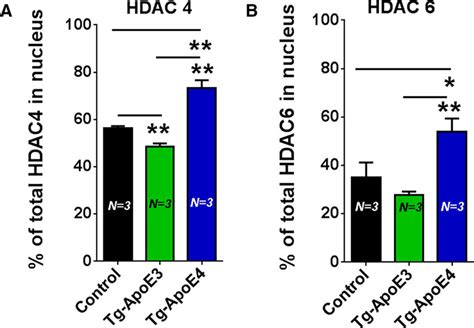 Differential Hdac Nuclear Localization In The Hippocampus Of Transgenic