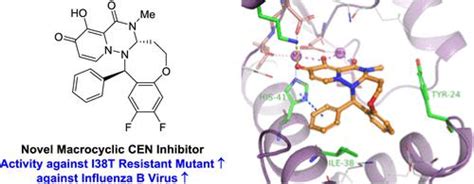 大环流感帽依赖性核酸内切酶抑制剂的发现journal Of Medicinal Chemistry X Mol