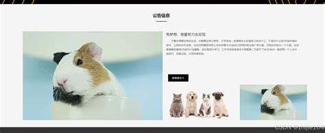 基于django vue的猫咪交流平台的设计与实现【开题报告 程序 论文】 计算机毕设 设计猫平台 csdn博客