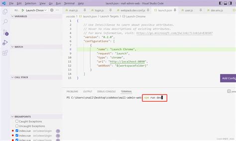 vscode idea 调试前端代码要点 源码巴士