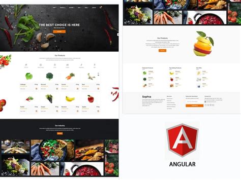 An Extensive Web Application Using Angularjs Upwork