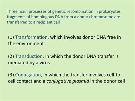 Generalized And Specialized Transduction Transformation And Conjugation