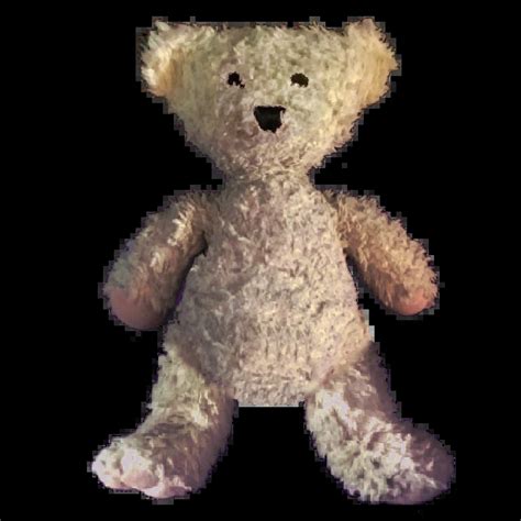 Sam Bear 19 Wiki Fandom