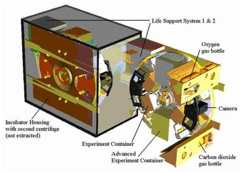 Esa Schematic Diagram Of The Incubator Housing