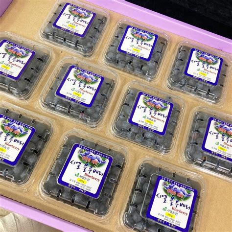 영천 블루베리 생과 1kg 10팩 헬로마켓