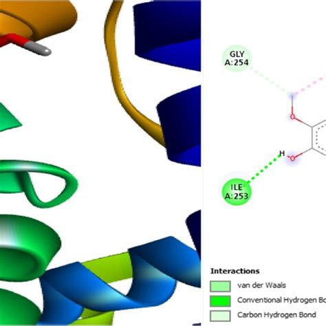 2d And 3d Visualization Of The Docked Curcumin With Ppar Download