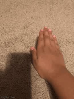 Animated  Imgflip