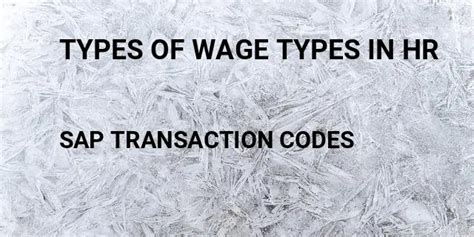 types of wage types in hr tcode in sap transaction codes list