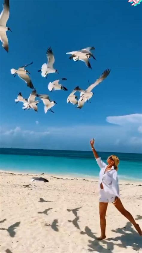 Доброе утречко Летний пейзаж Живописные пейзажи Романтические картины