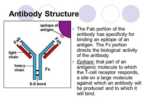 Immunology Teaching Objectives Ppt Video Online Download
