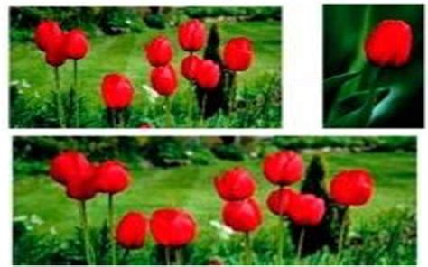 Figure 3 From Survey Of Copy Paste Forgery Detection In Digital Image Forensic Semantic Scholar