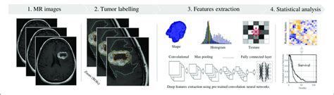 Standard Pipeline Of The Radiomics Analysis 1 Mr Image Acquisition Download Scientific
