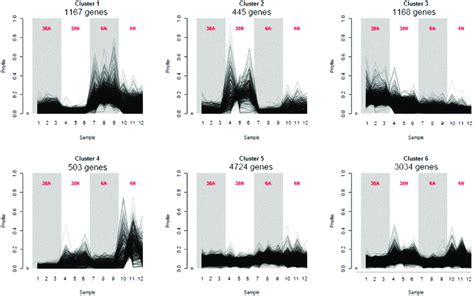Co Expression Clusters Htscluster Was Used To Cluster Expression Data Download Scientific