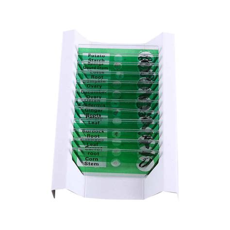 12pcs Plastic Prepared Microscope Slides Animals I Vicedeal