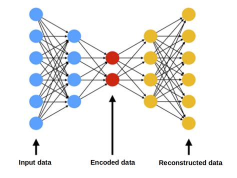 Topology Of An Autoencoder Download Scientific Diagram