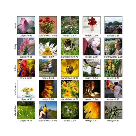 Deep Learning Baseline With TensorFlow Minutes Setup Data Science UA