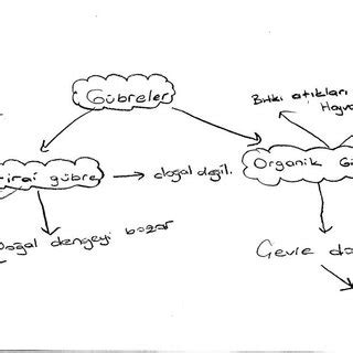 Shape Coding Singular Subject With Singular Verb Download Scientific Diagram