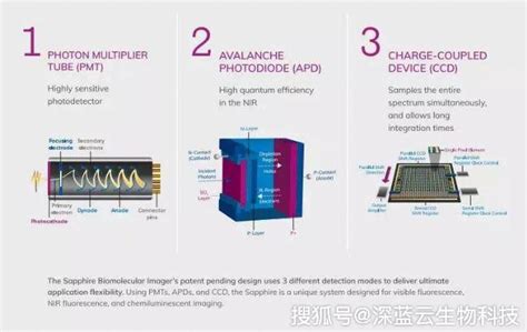 Apd Pmt和ccd的介绍 成像