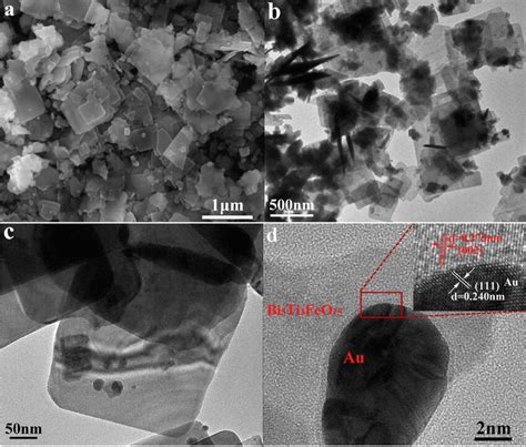 SEM A TEM B C And HRTEM Images D Of Au Bi5Ti3FeO15 Samples Download Scientific Diagram